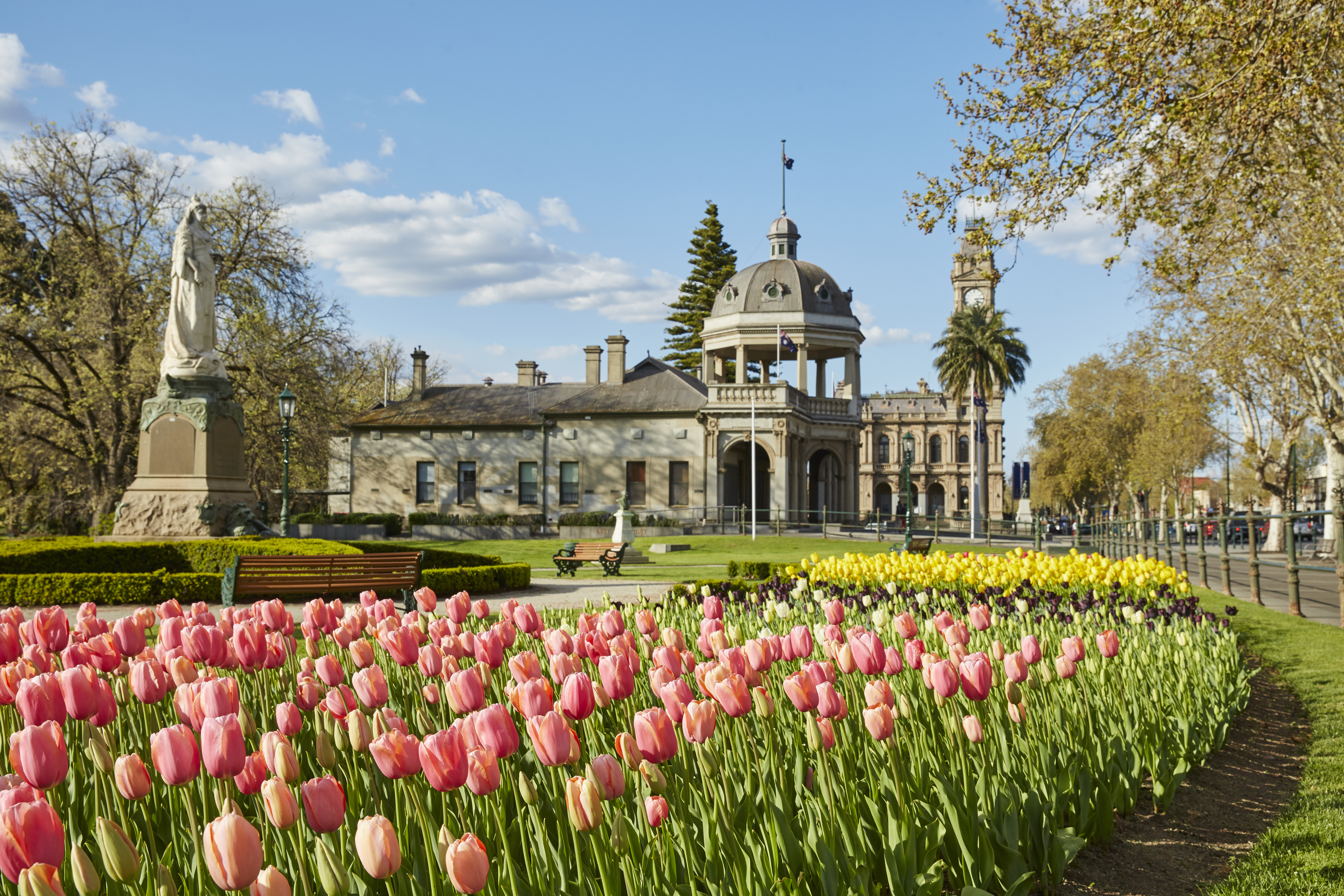 Rosalind Park | Exceptional ALIEN