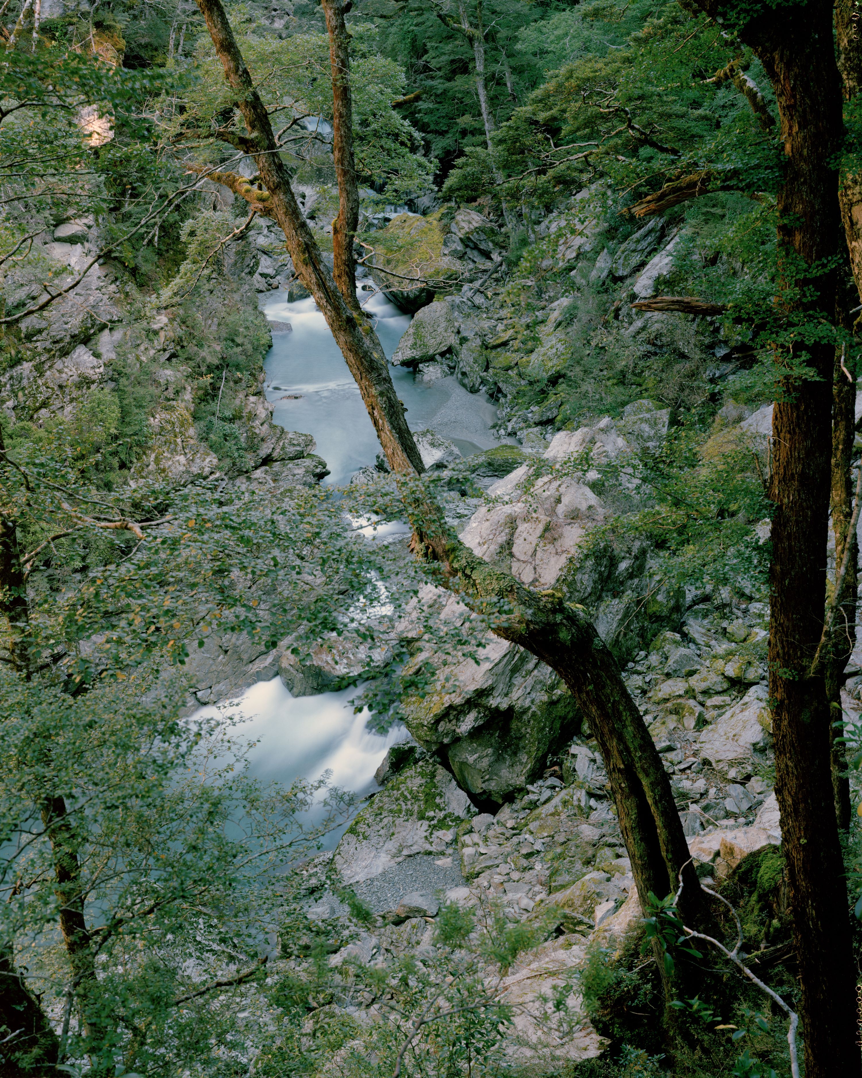 Routeburn Track | Exceptional ALIEN