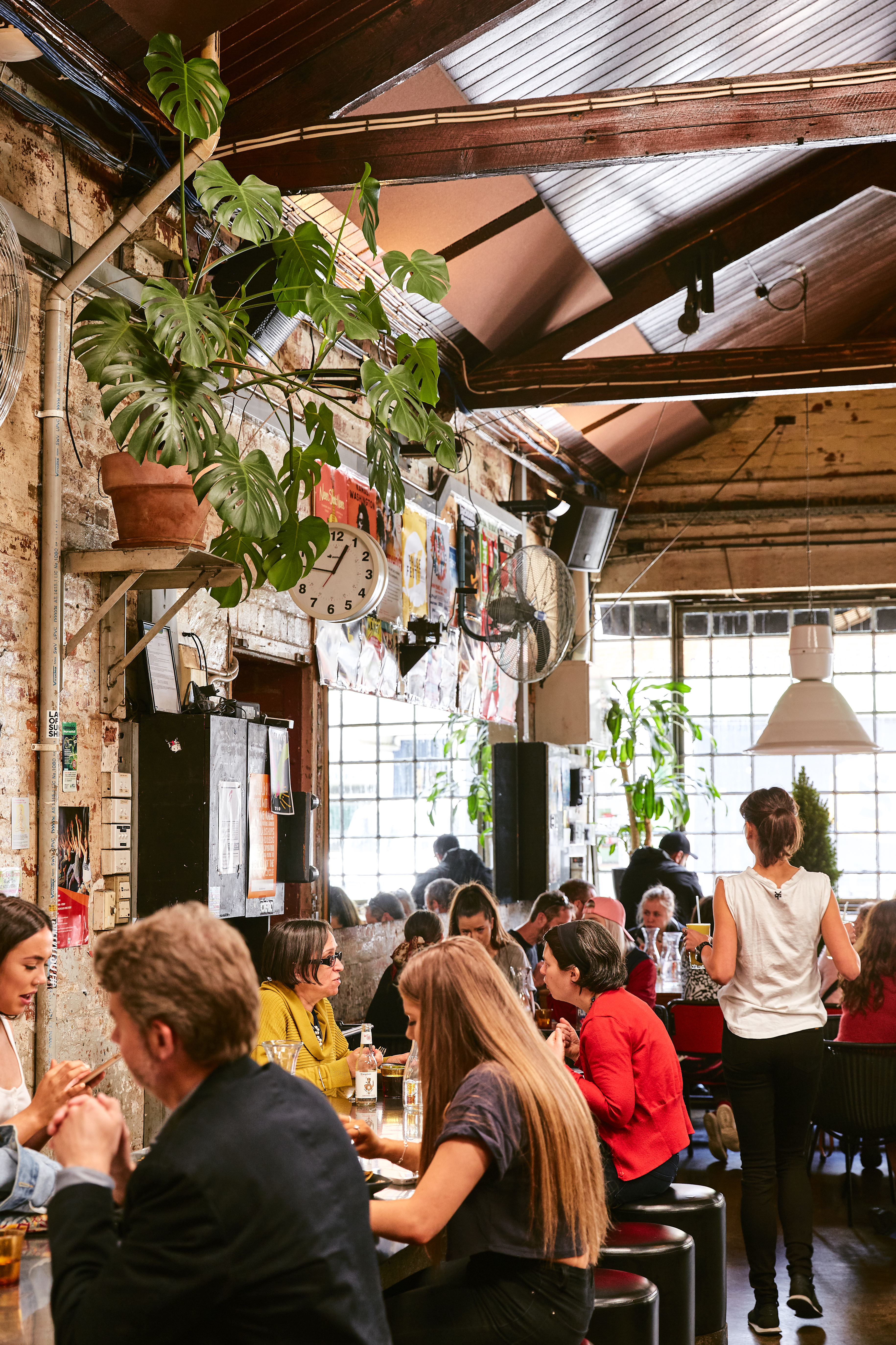 Vegie Bar | Exceptional ALIEN