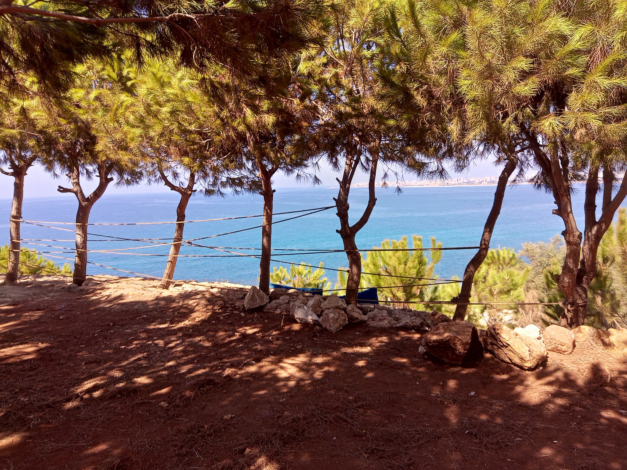 Rasmaska Gardens | Exceptional ALIEN