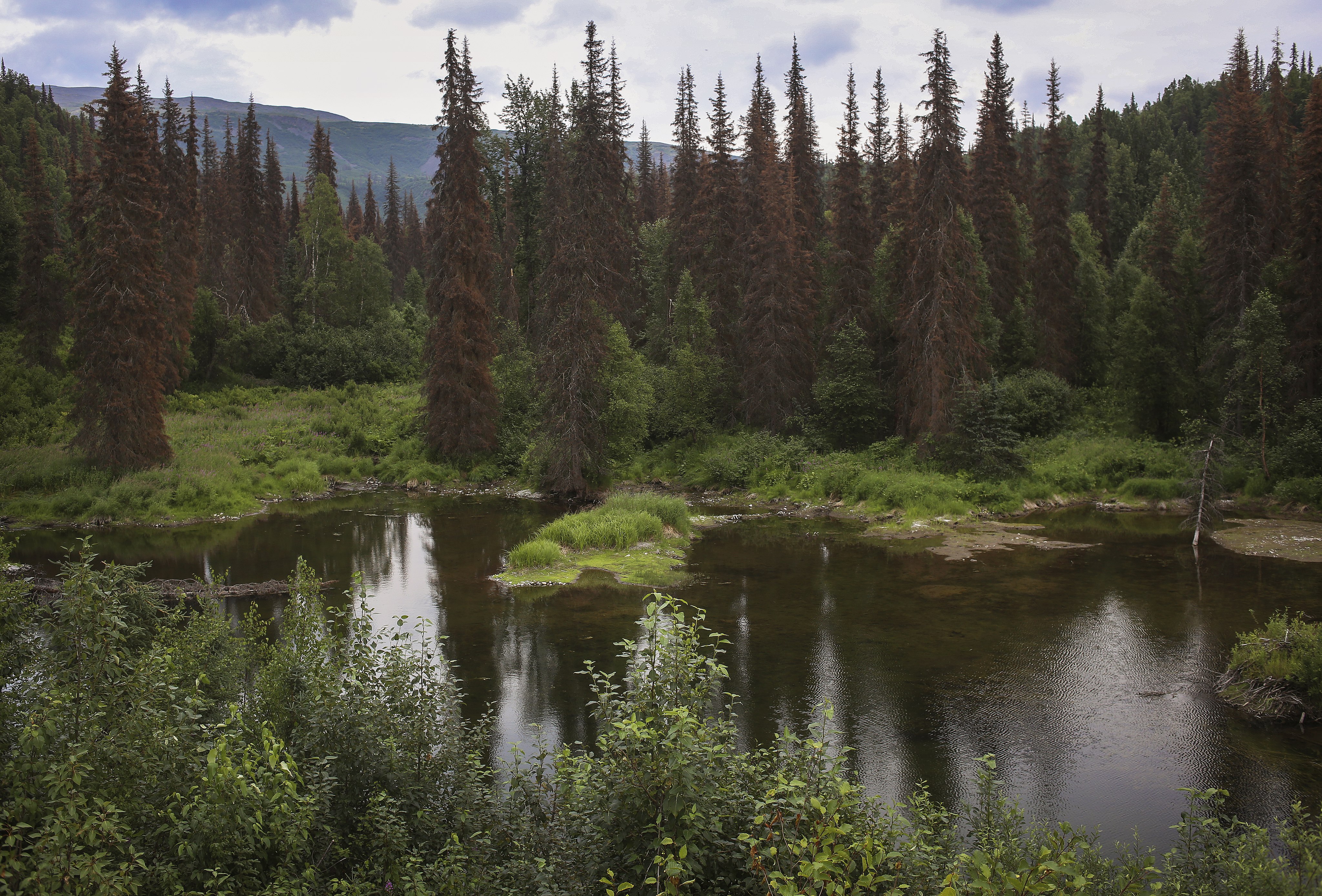 Denali National Park | Exceptional ALIEN