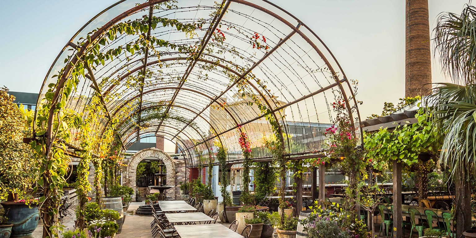 The Grounds | Exceptional ALIEN