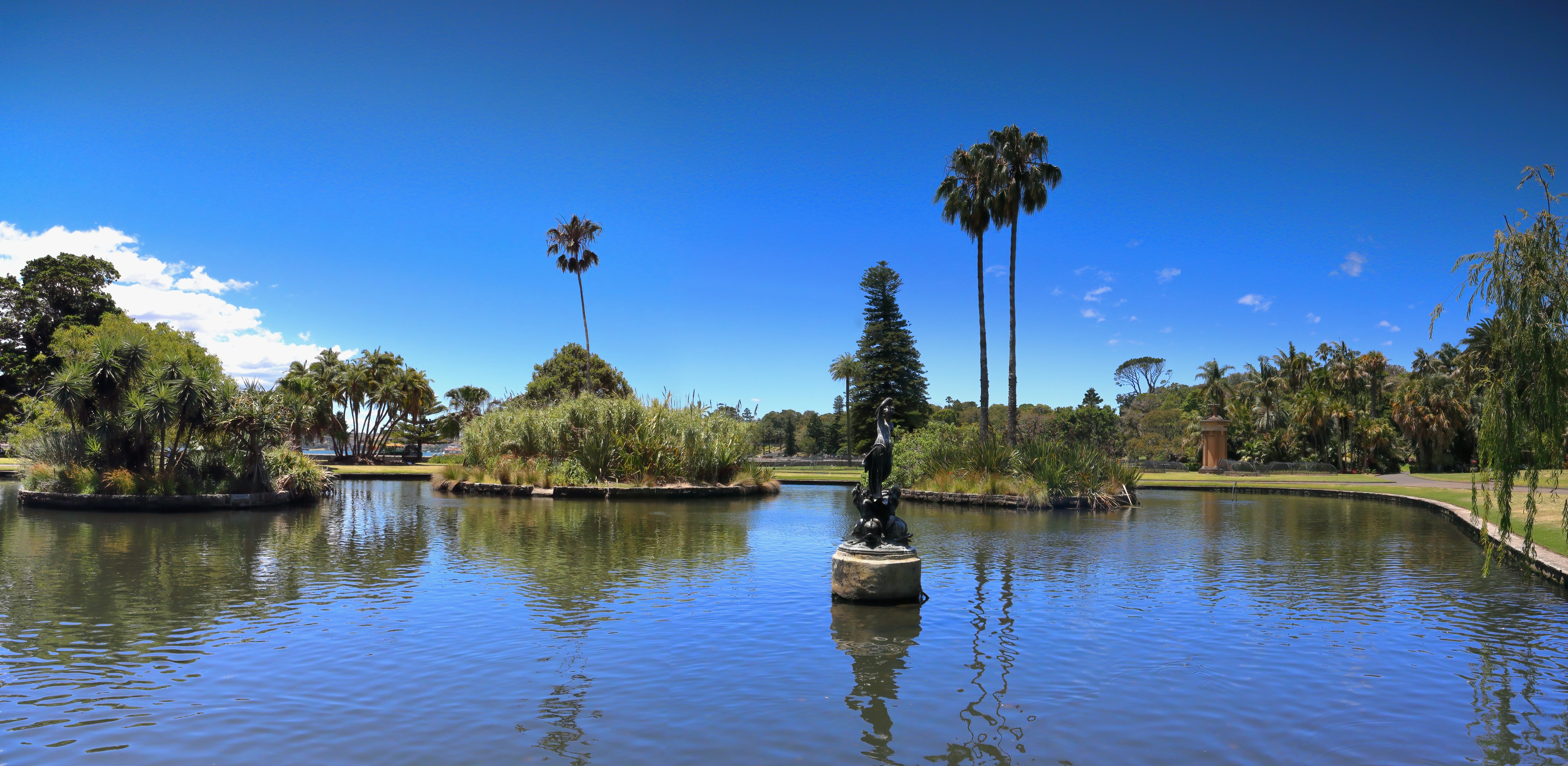 Royal Botanic Garden Sydney | Exceptional ALIEN