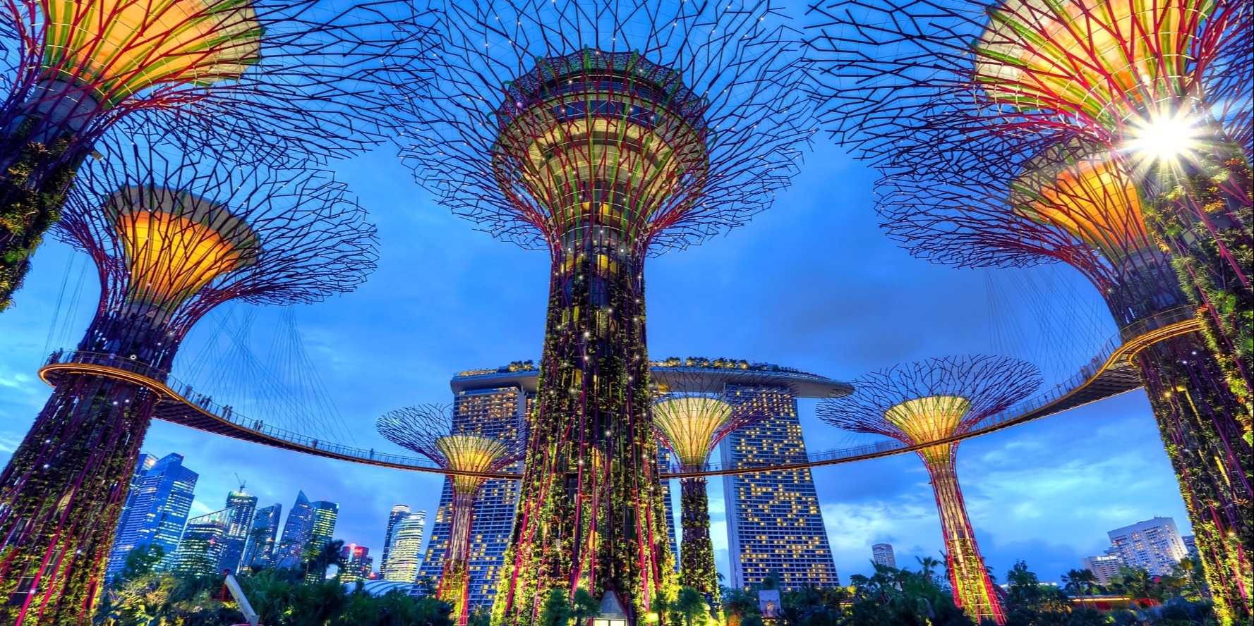 Gardens by the Bay | Exceptional ALIEN