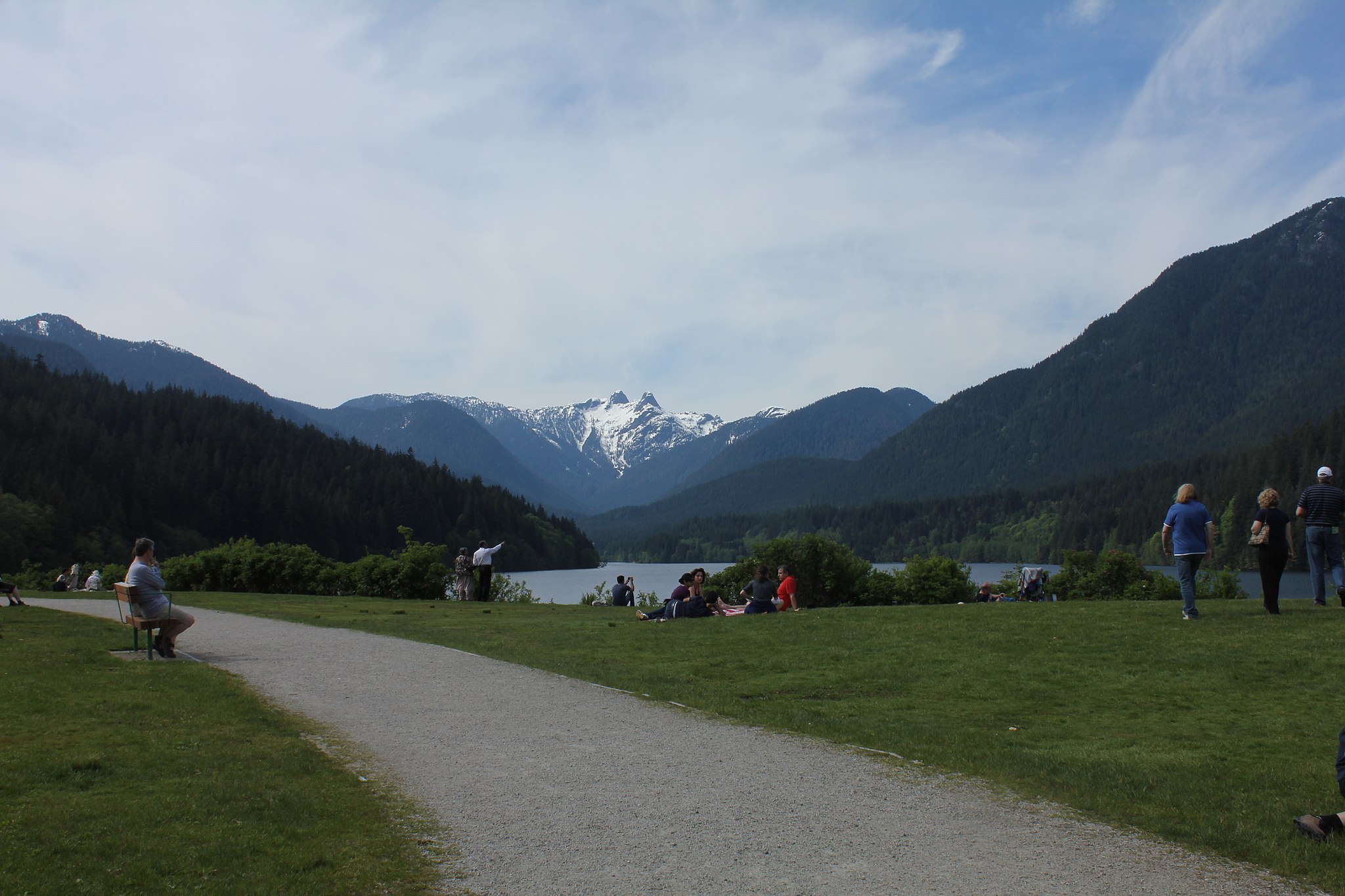 Capilano River Regional Park | Exceptional ALIEN