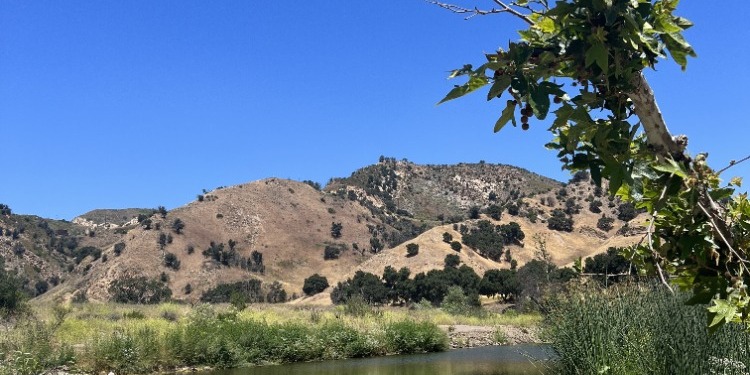 Malibu Creek State Park | Exceptional ALIEN