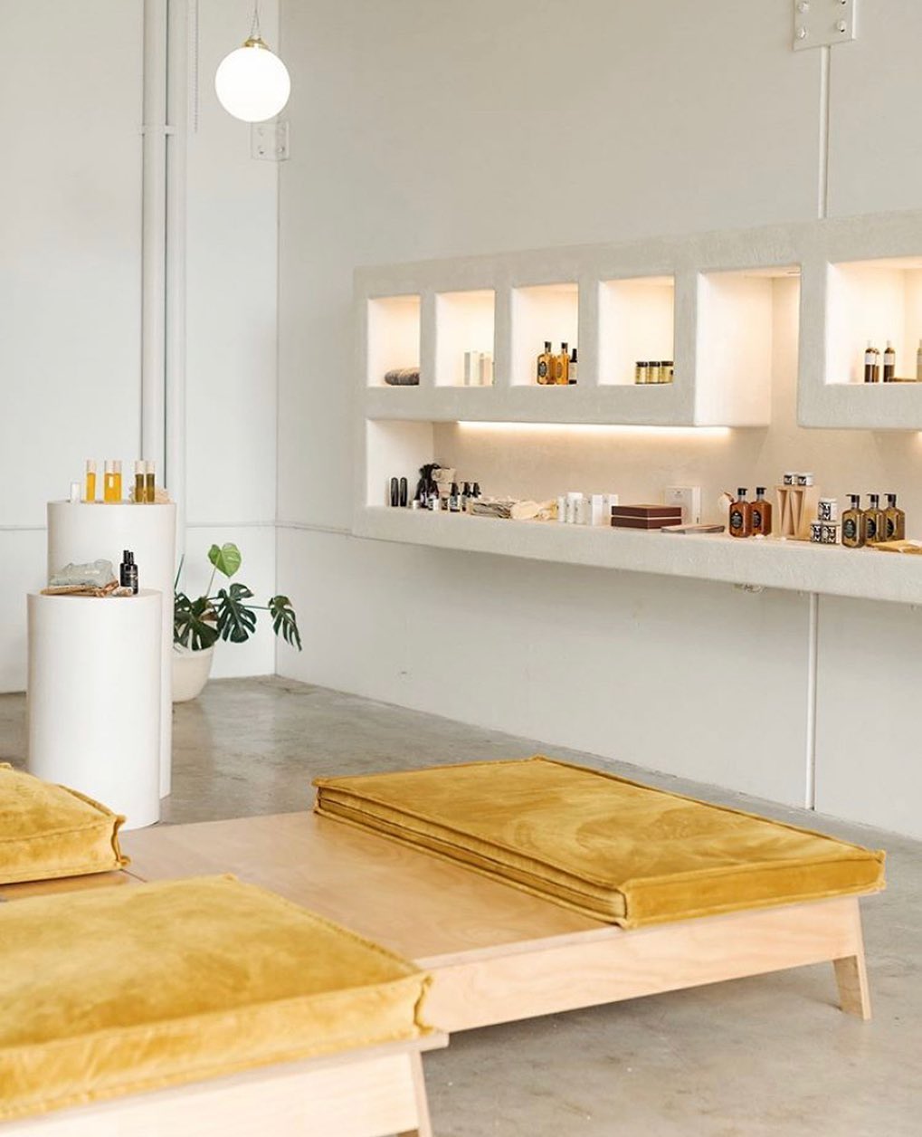 Nimbus Co | Exceptional ALIEN