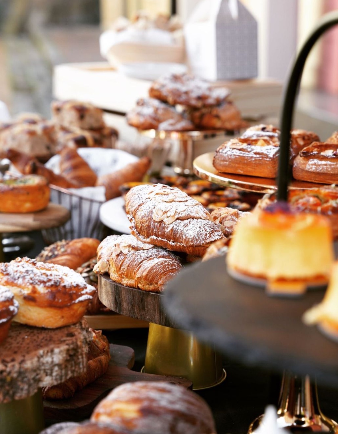 Tuga Pastries | Exceptional ALIEN