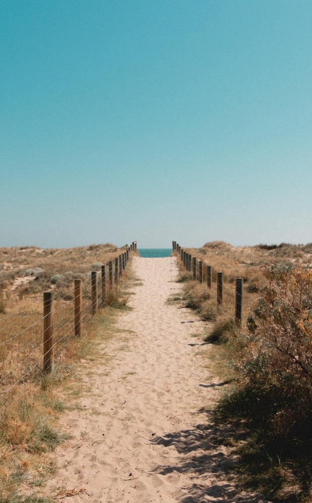 Port Melbourne Beach | Exceptional ALIEN