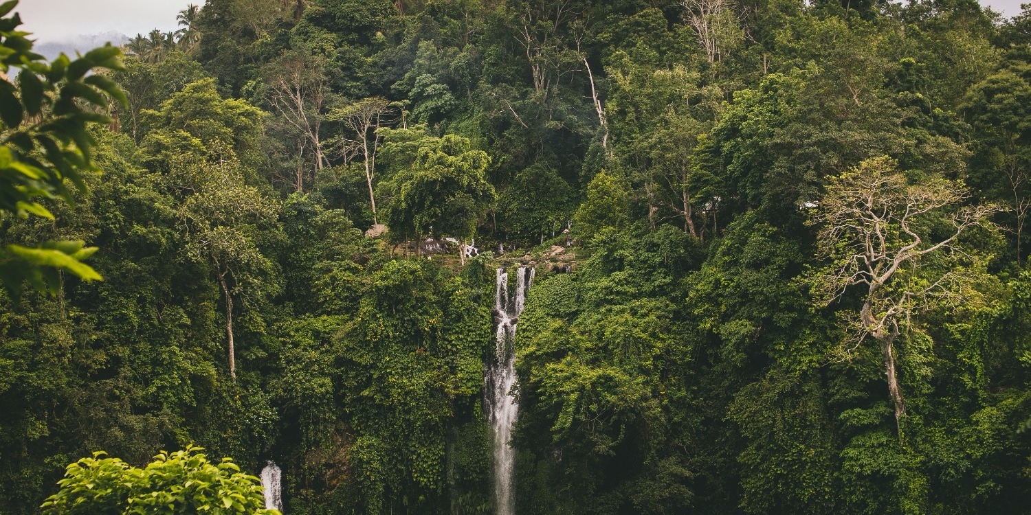 Sekumpul Waterfall | Exceptional ALIEN