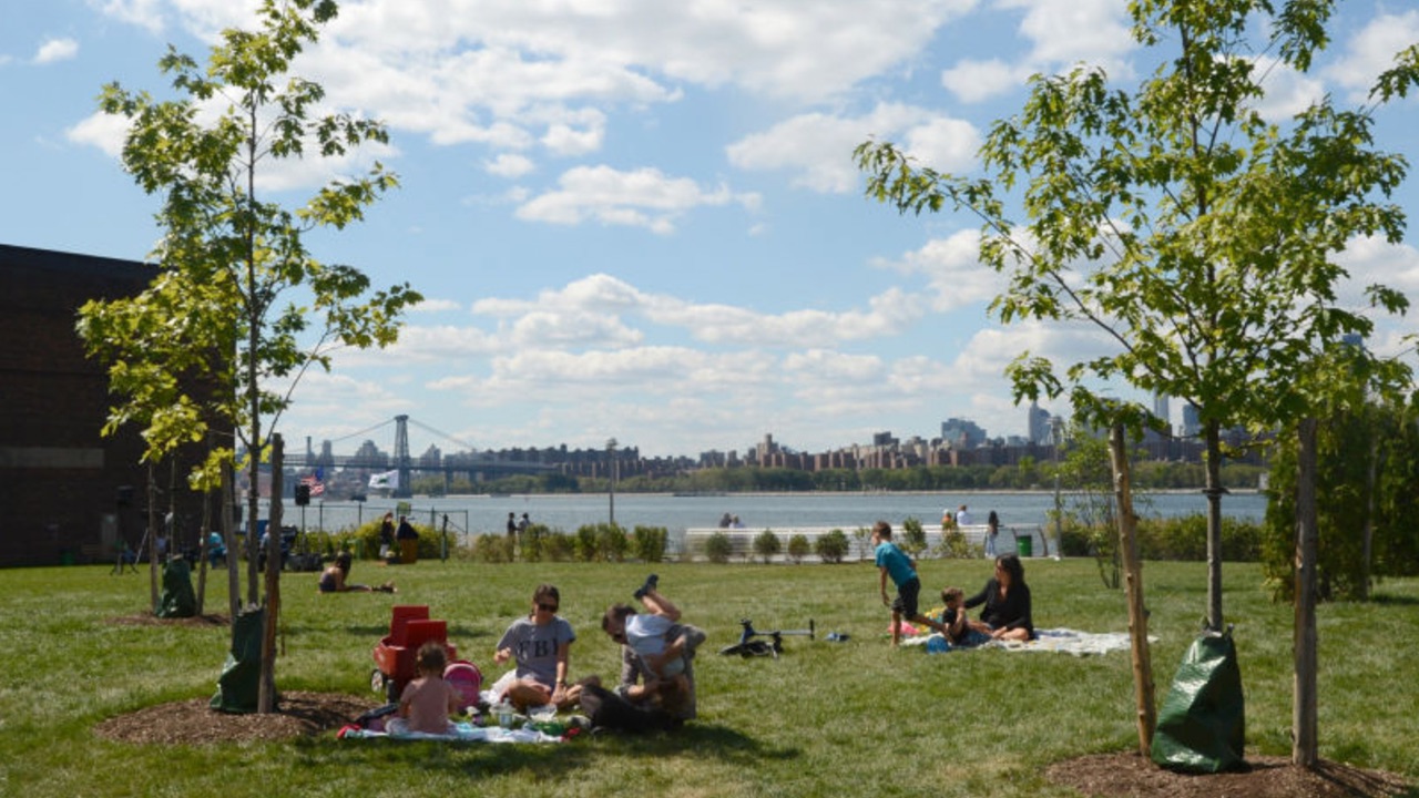 WNYC Transmitter Park | Exceptional ALIEN