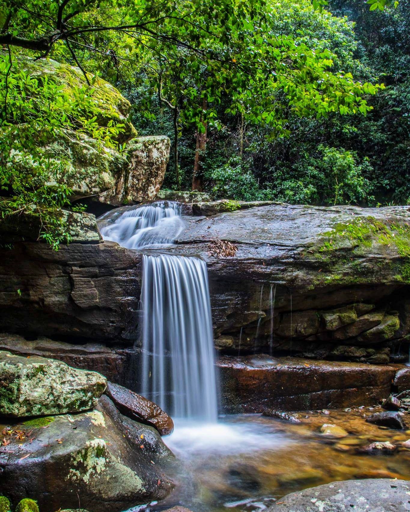 Wodi Wodi Walking Track | Exceptional ALIEN