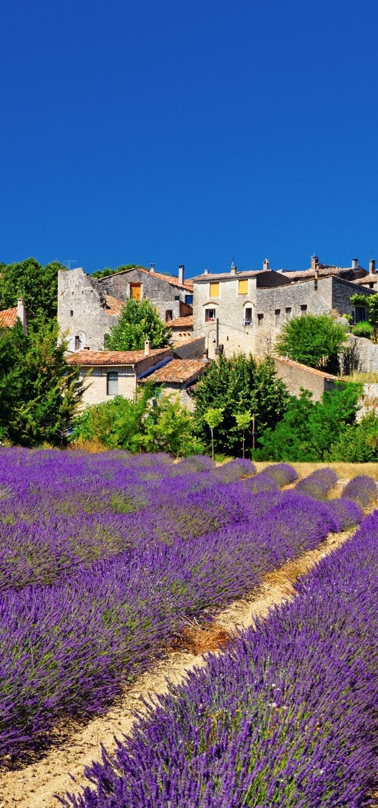 Luxury Farmhouse Villas in Provence | Exclusive Resorts Getaways