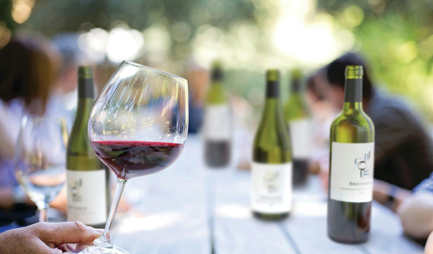 Exclusive Resorts - Luxury Destinations | Club Journal | Vineyard VIP