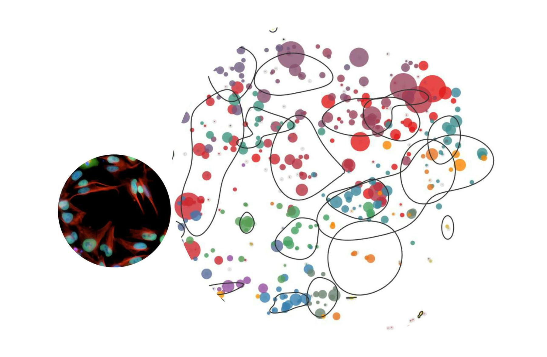 Experiments | AI & Phenotypic Drug Discovery | Exscientia Experiments | AI & Phenotypic Drug Discovery | Exscientia
