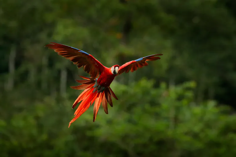 South America Luxury Tours | Extraordinary Journeys