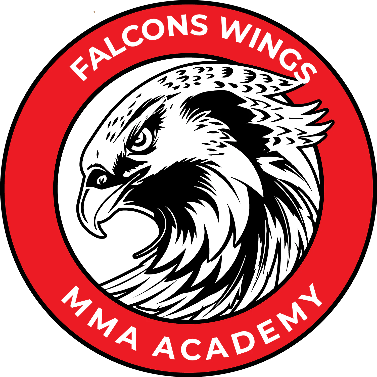 FALCONS MMA