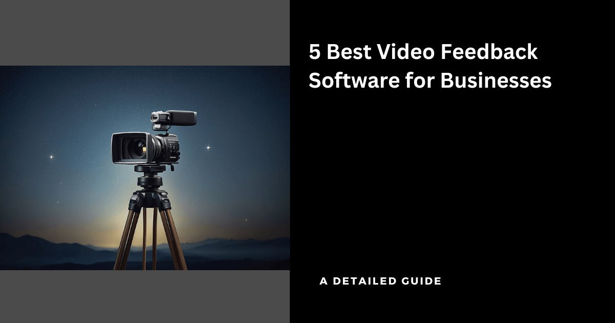 5 Best Video Feedback Software for Businesses (2024)