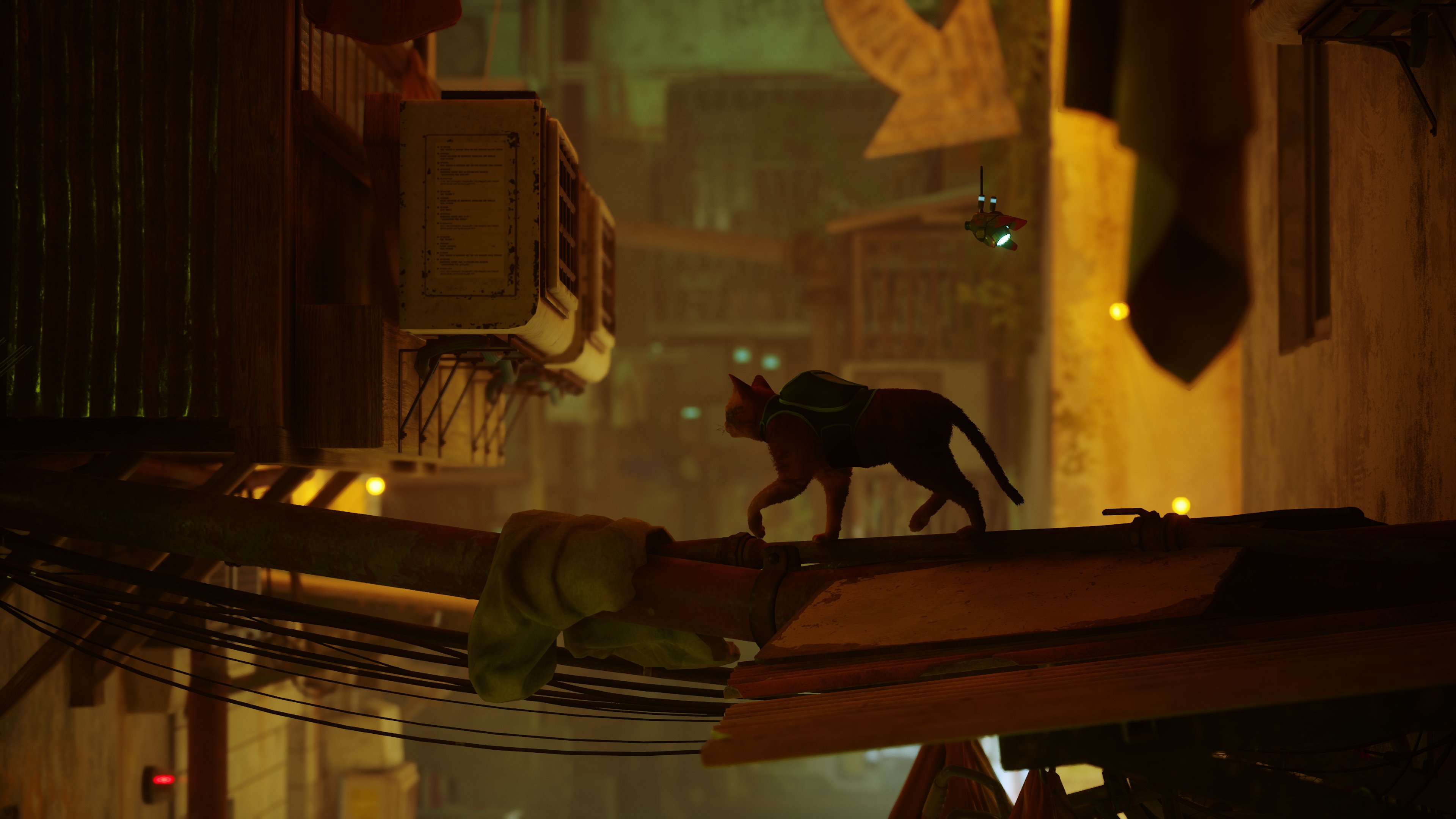The 5 Reasons Stray Is Going to Be One of the Best Cat Games Ever ...