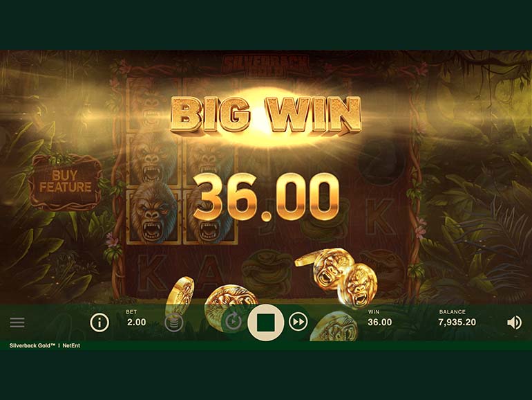 Silverback Gold | Play Slot Games Online at FanDuel Casino