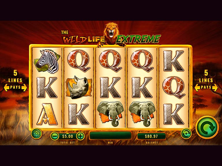 The Wild Life Extreme | Play Slot Games Online at FanDuel Casino