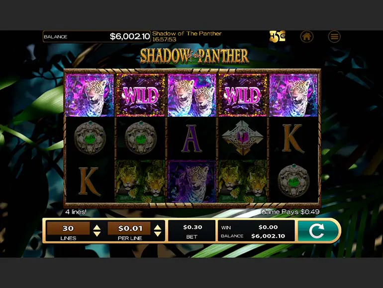 Shadow of the Panther | Play Slot Games Online at FanDuel Casino