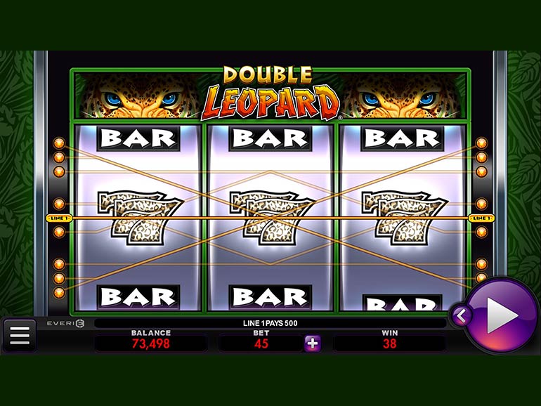 Double Leopard | Play Slots Games Online at FanDuel Casino