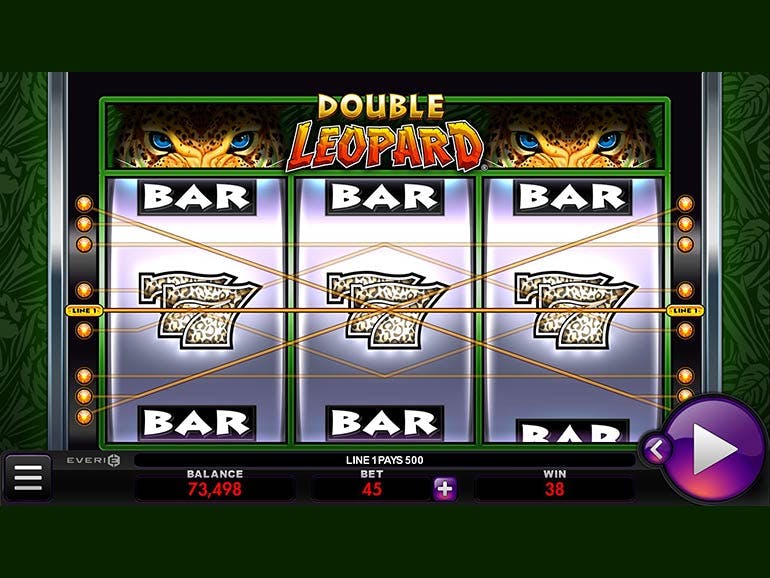 Double Leopard | Play Slots Games Online at FanDuel Casino