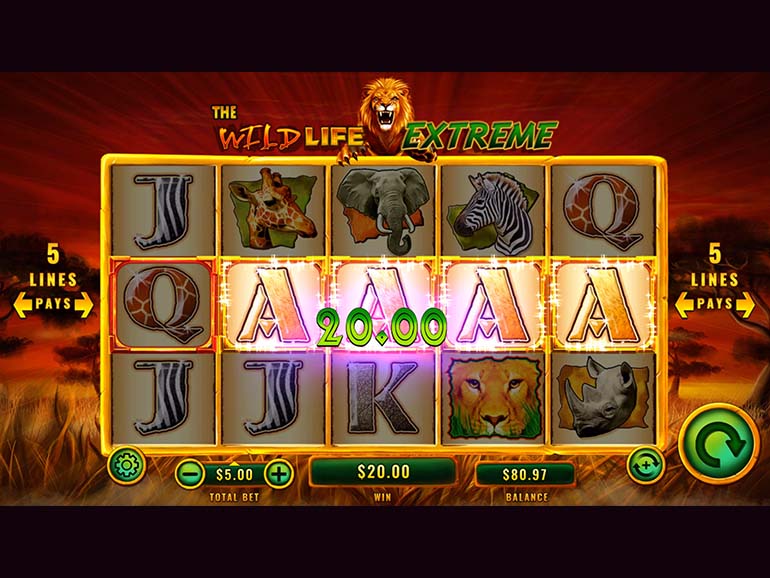 The Wild Life Extreme | Play Slot Games Online at FanDuel Casino