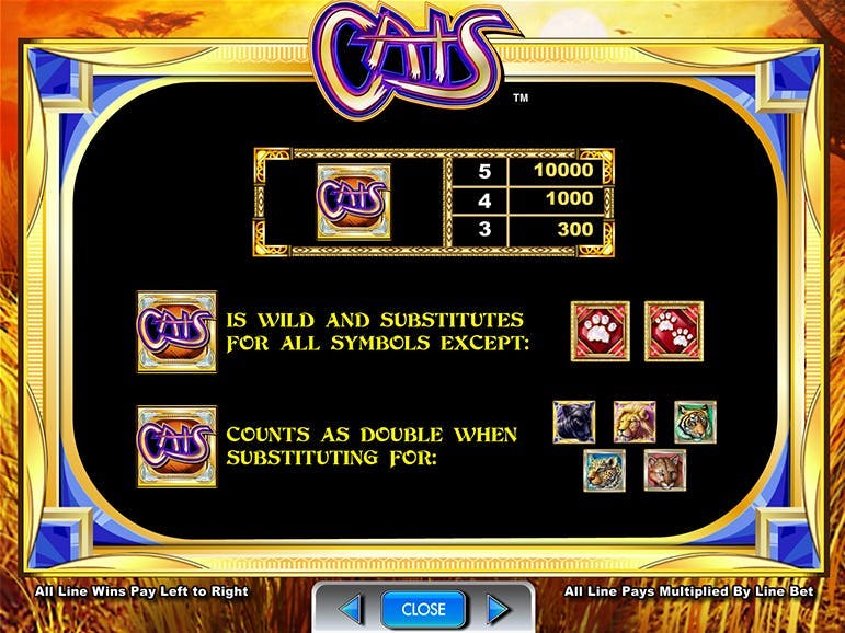Cats| Play Slots Games Online at FanDuel Casino