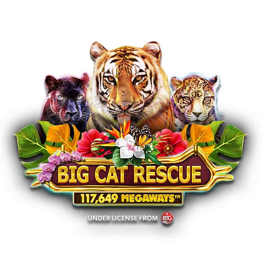 Play Games Online at FanDuel Casino