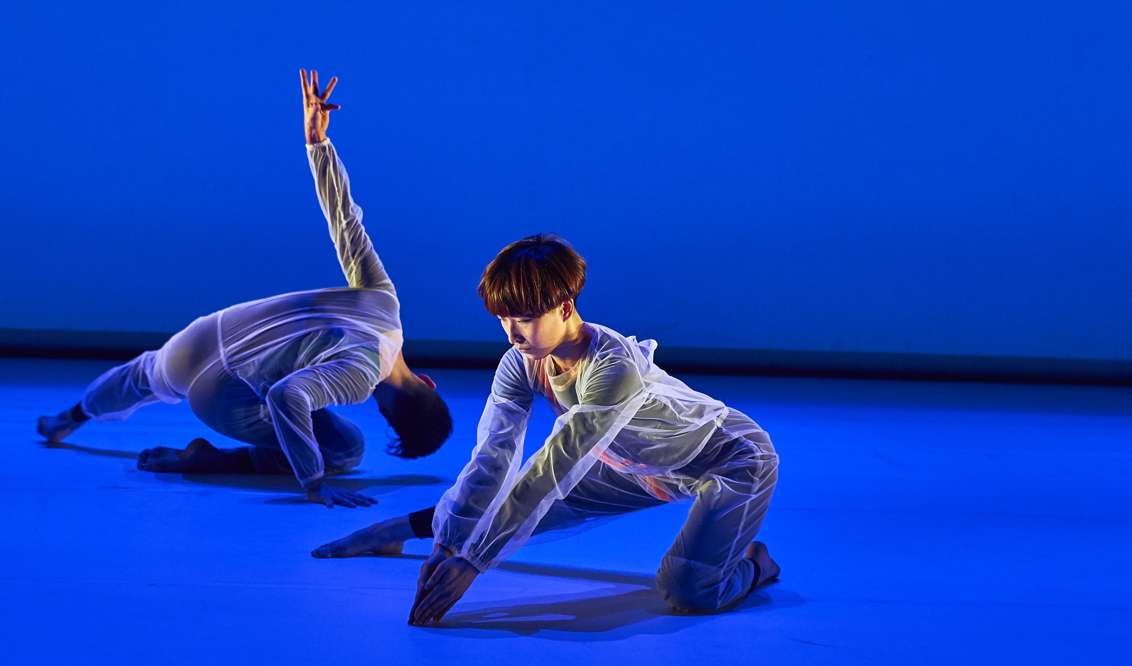 Foundation for Contemporary Arts