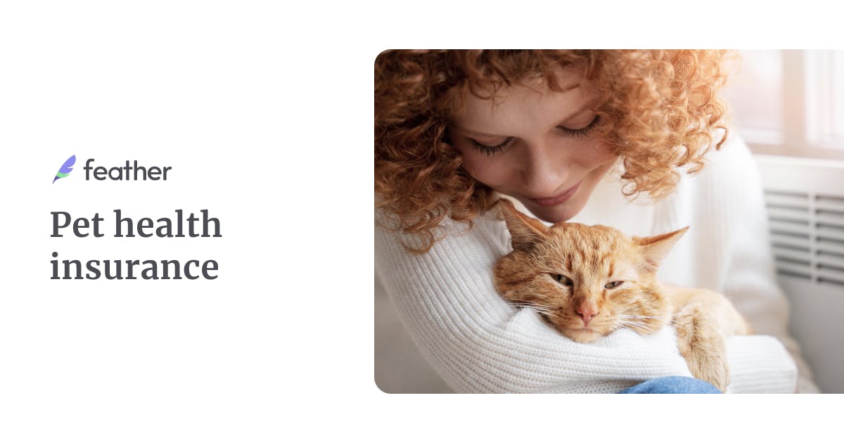 Cat Health Insurance in Germany | Feather