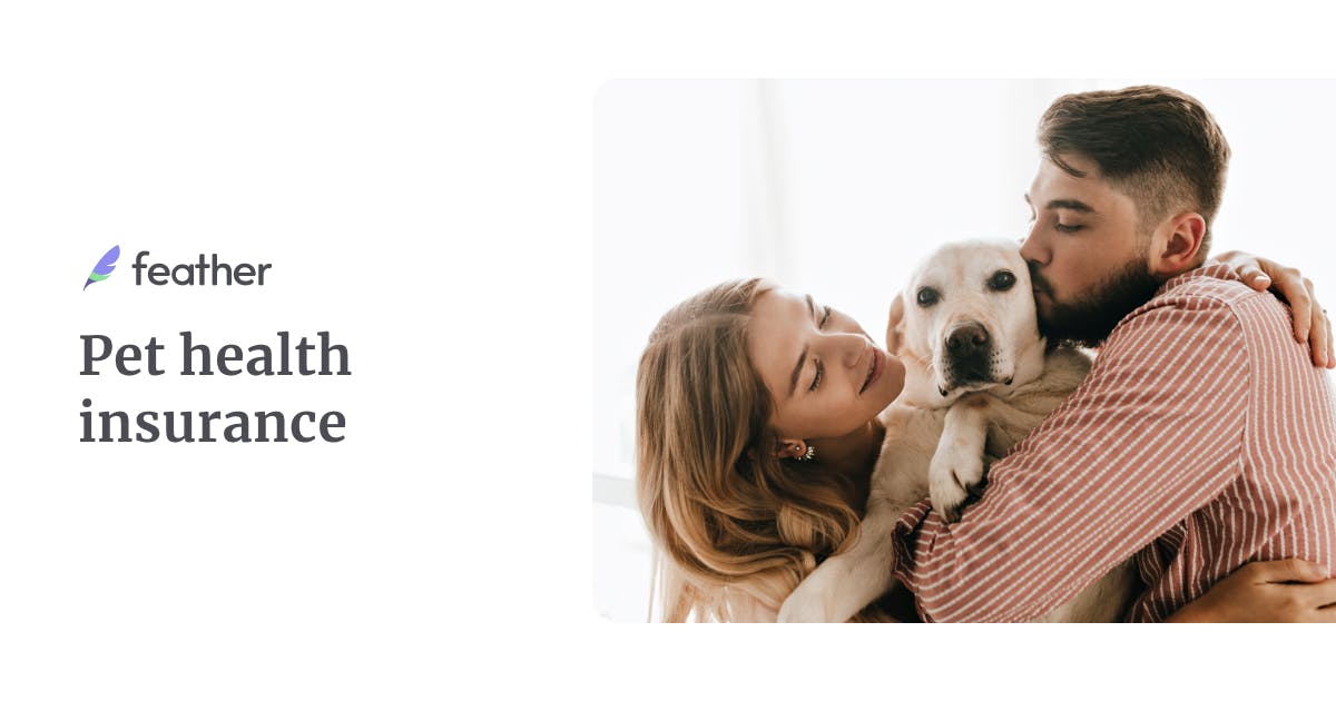 Dog Health Insurance in Germany | Feather