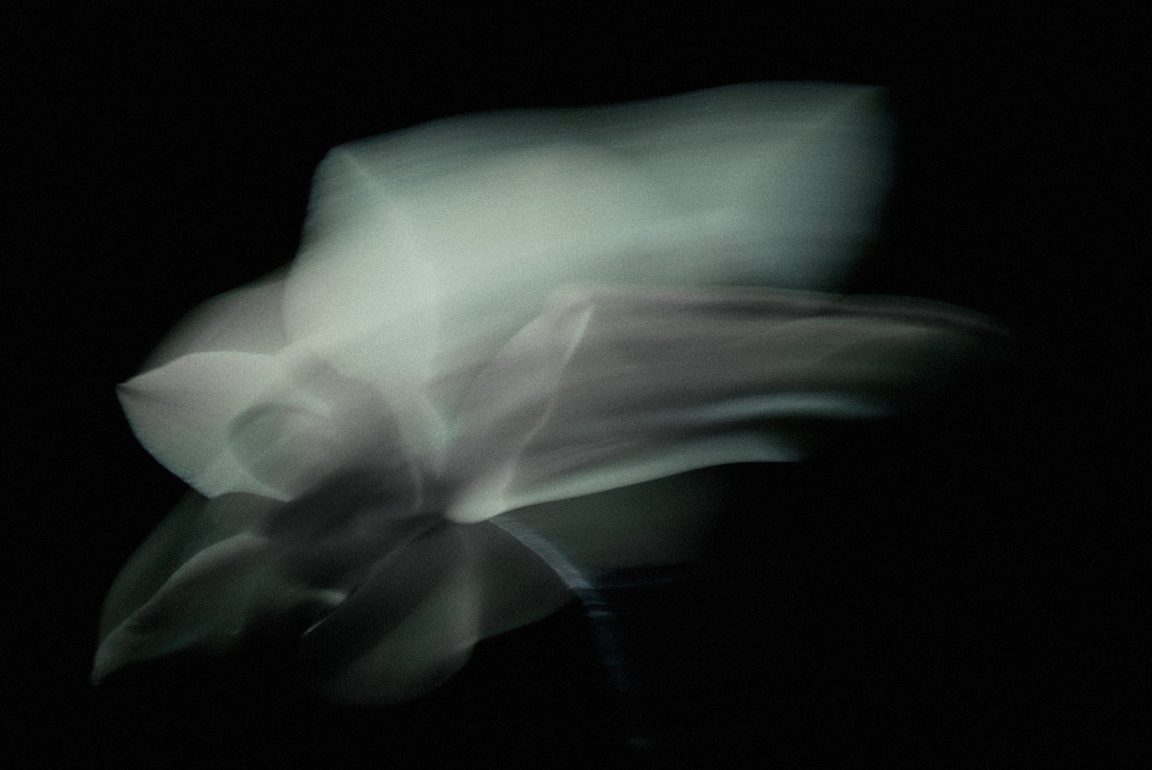 Feld_ Pour Un Homme de Caron