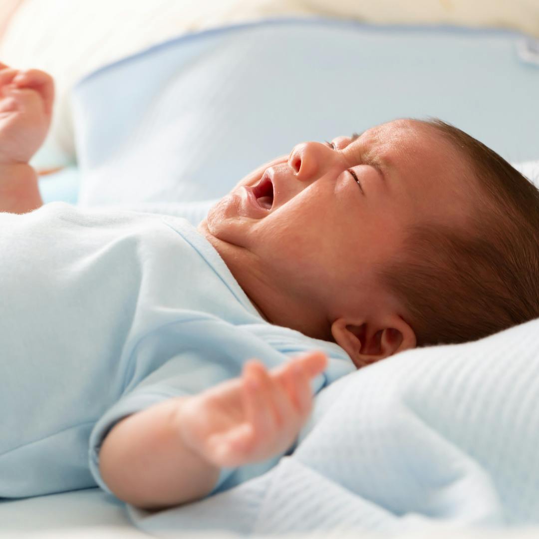 Que Son Colicos | Experts Explain