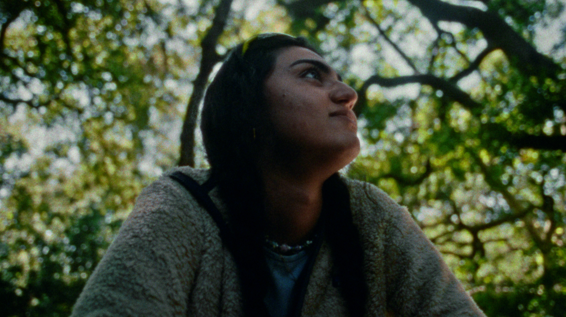 USAL Project & REI – FIELD UNIT