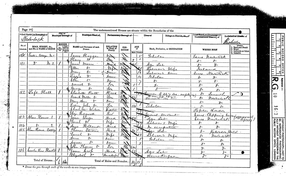 Tess Daly's family tree is full of English and Irish ancestors | Blog ...