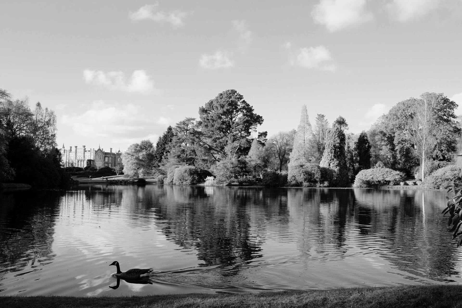 Sheffield City Archives and Local Studies Library | findmypast.co.uk