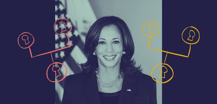 Kamala Harris' family tree tells a tale of migration and education ...