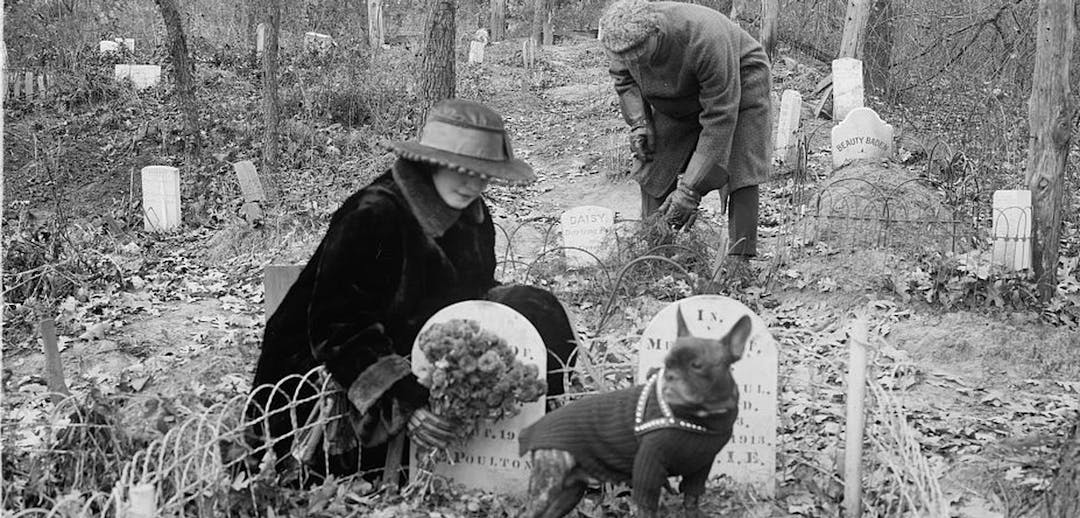 9 Places to Find Information About Your Ancestor's Death | Blog ...