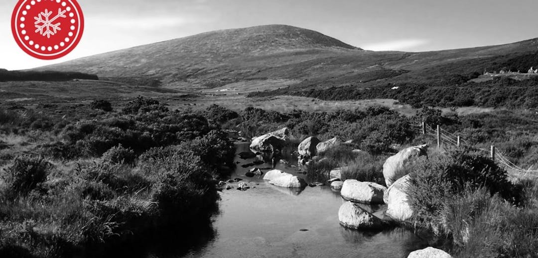 An expert guide to the Griffith's Valuation | Blog | Findmypast.com