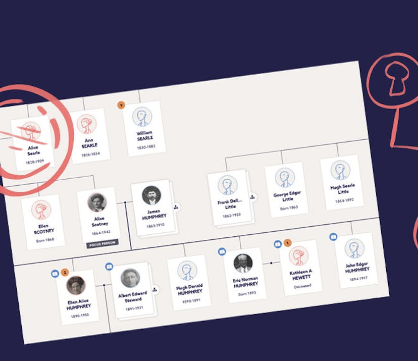 Build Your Family Tree | Page 1 | Blog | Findmypast.com