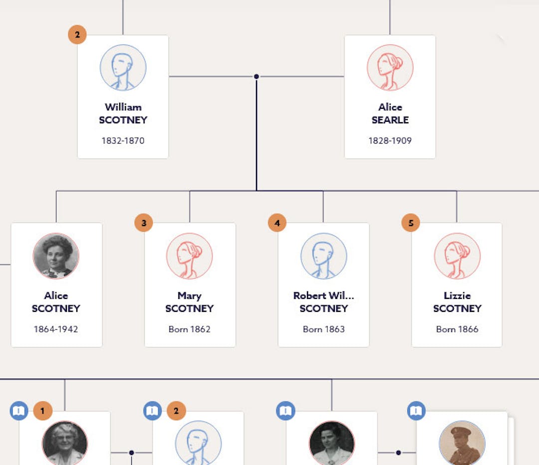 Build Your Family Tree | Page 1 | Blog | Findmypast.co.uk