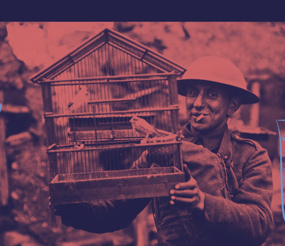 Build Your Family Tree | Page 1 | Blog | Findmypast.co.uk