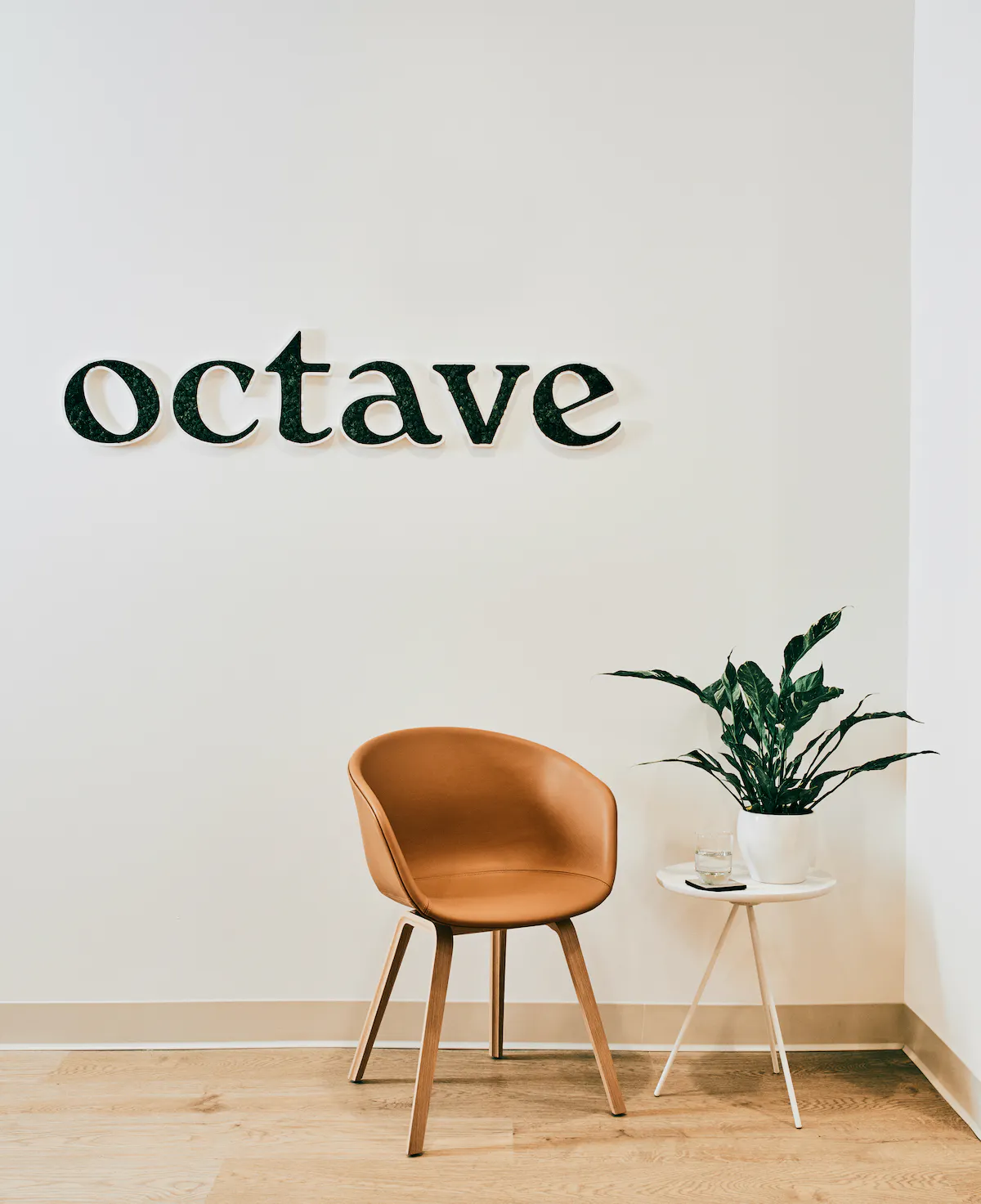 About Us | Octave