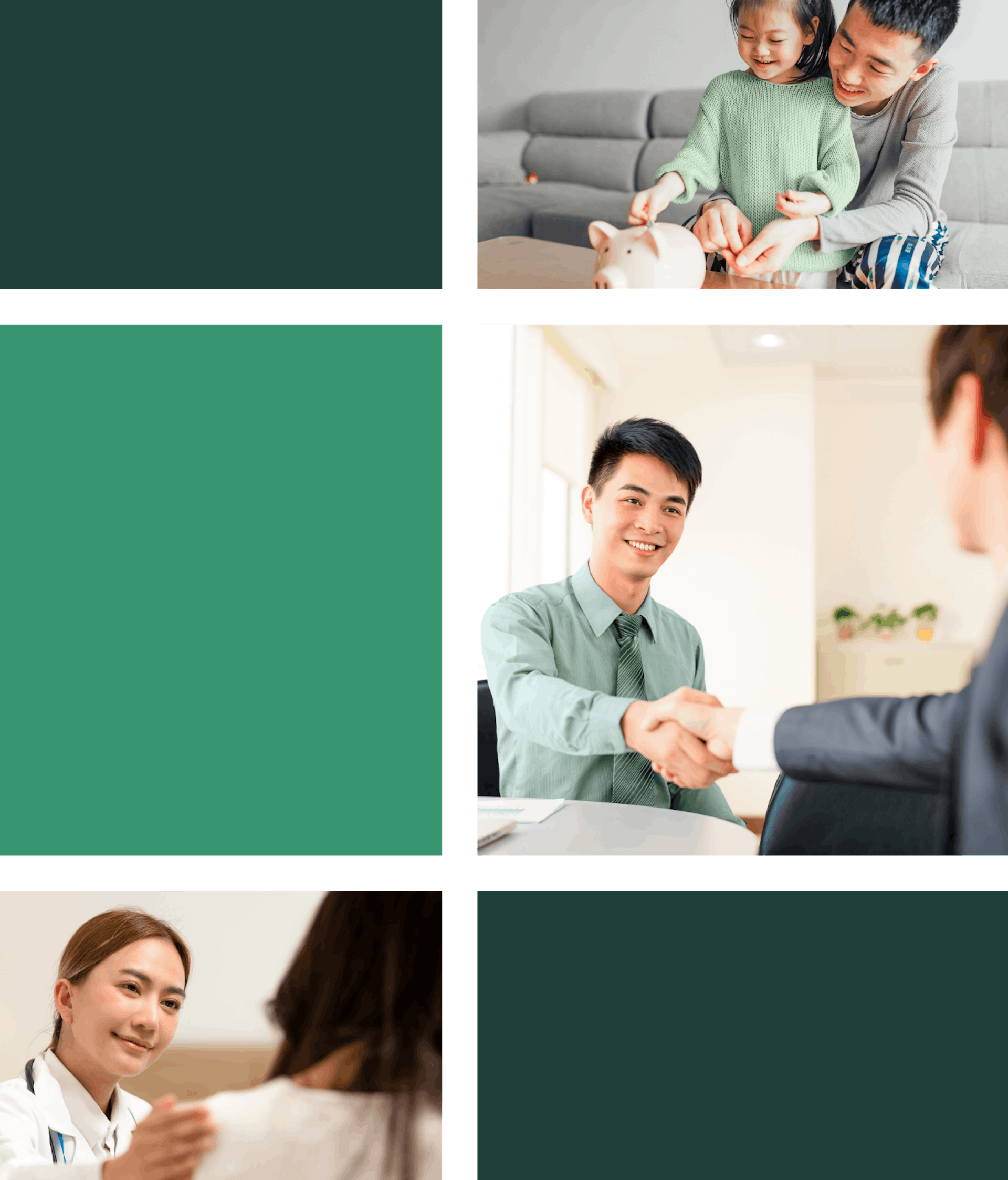 Life Insurance, Health Plans & Investments | First Life Insurance