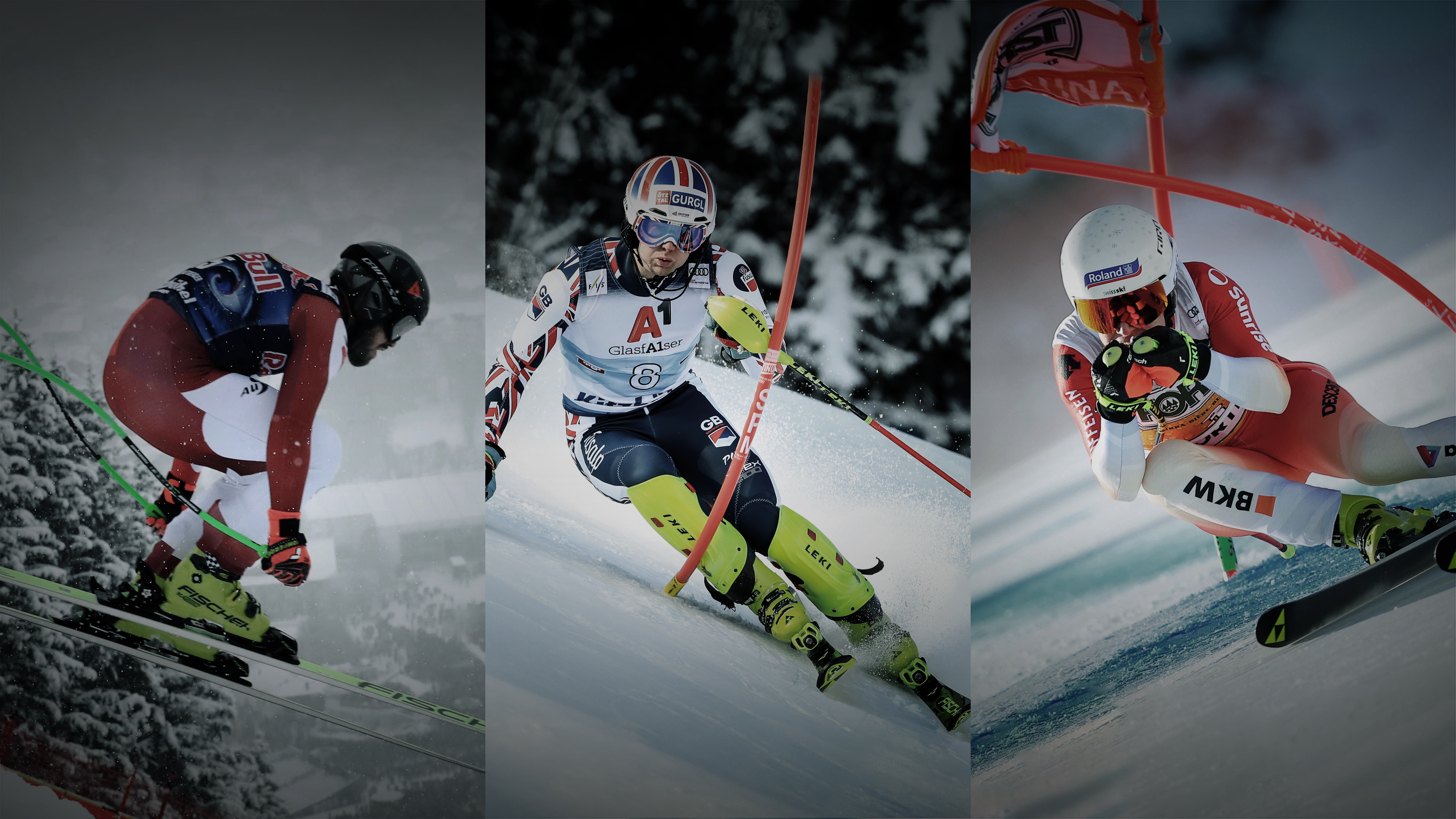 Alpine Racing - Fischer Sports - International (English)