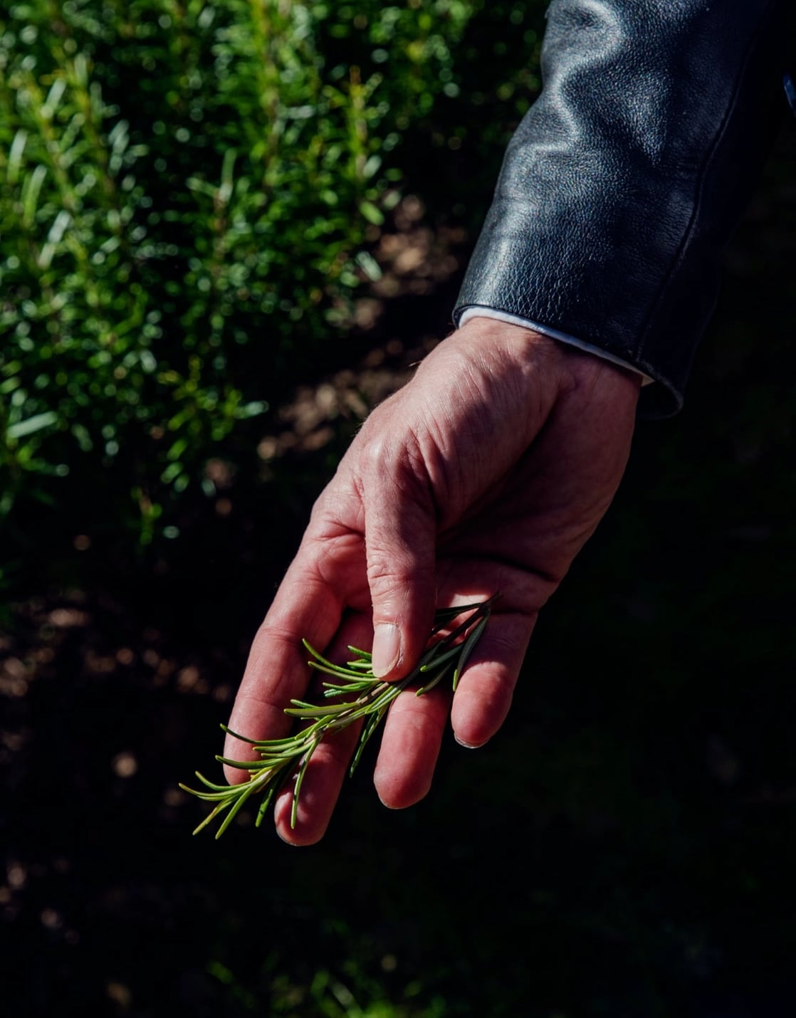 Team | RAMSA, Pembrooke & Ives, SMI - South Flagler House