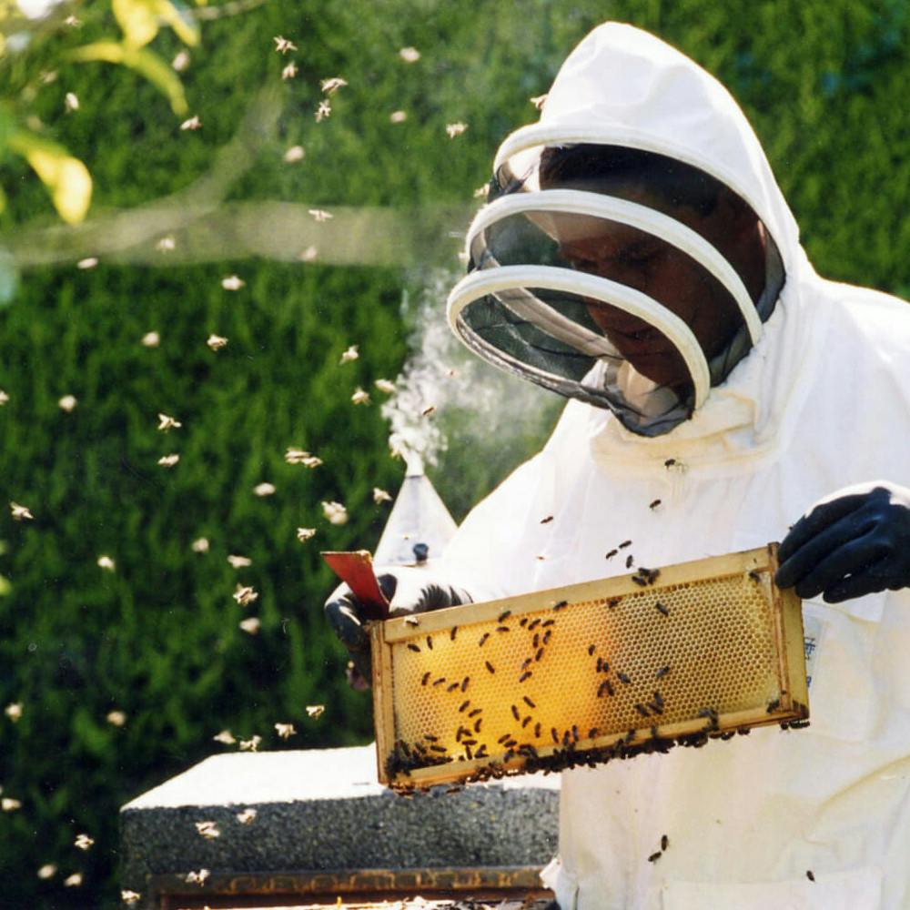 Nomura, 1 Angel Lane | Architecture | Fletcher Priest